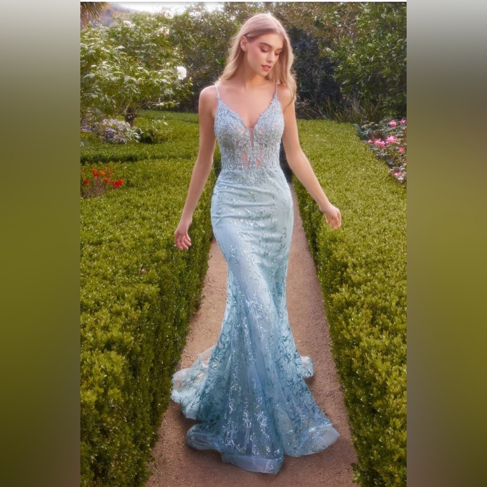 Light Blue Gorgeous Prom Dress Worn Once. - Gem